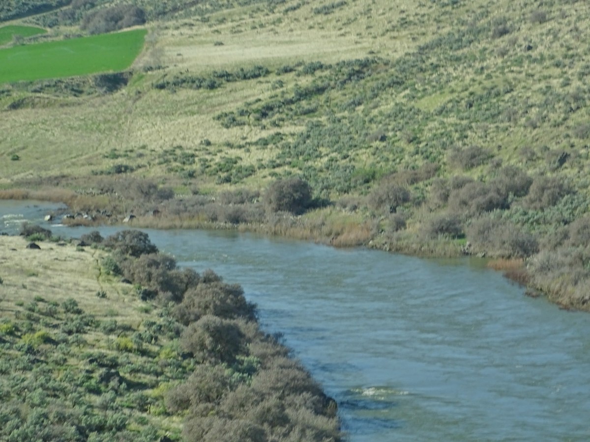 Highway 82 Through Oregon – One Woman's Quest II