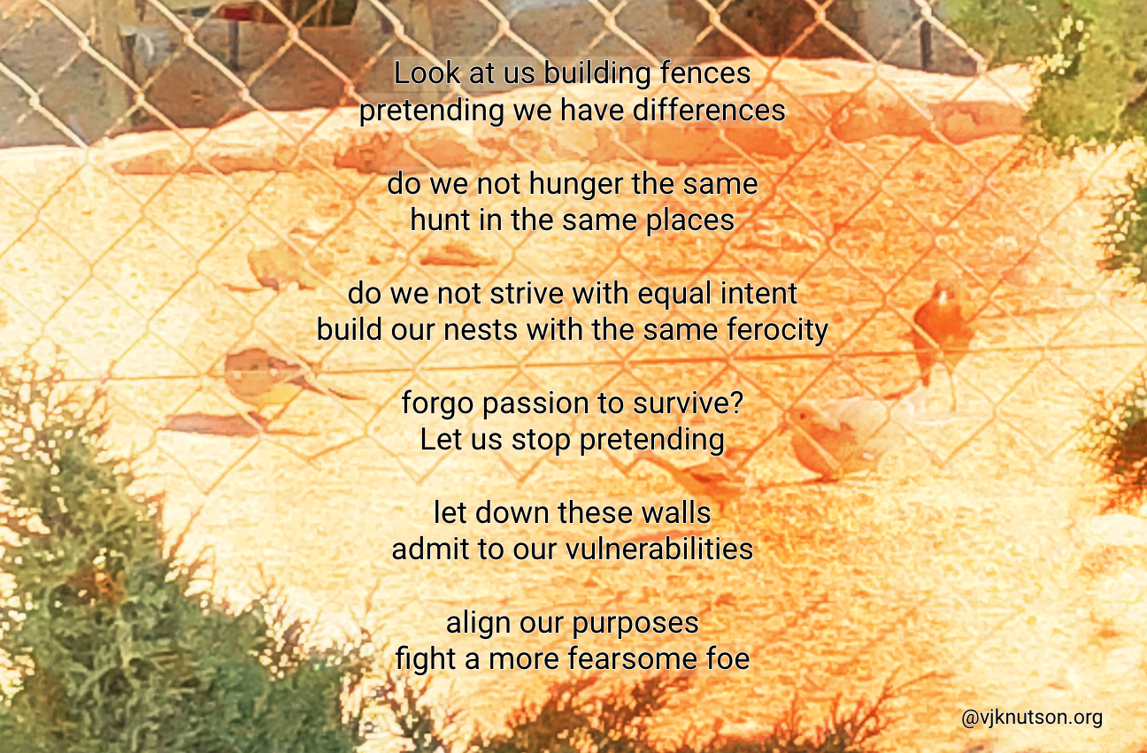 Lens-Artists Photo Challenge: Fences – One Woman's Quest II