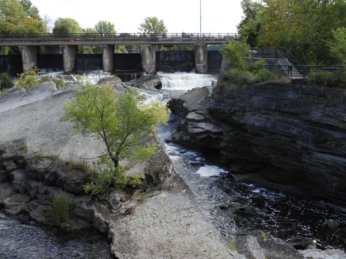Discovering Ottawa: Hogs Back Park – One Woman's Quest II