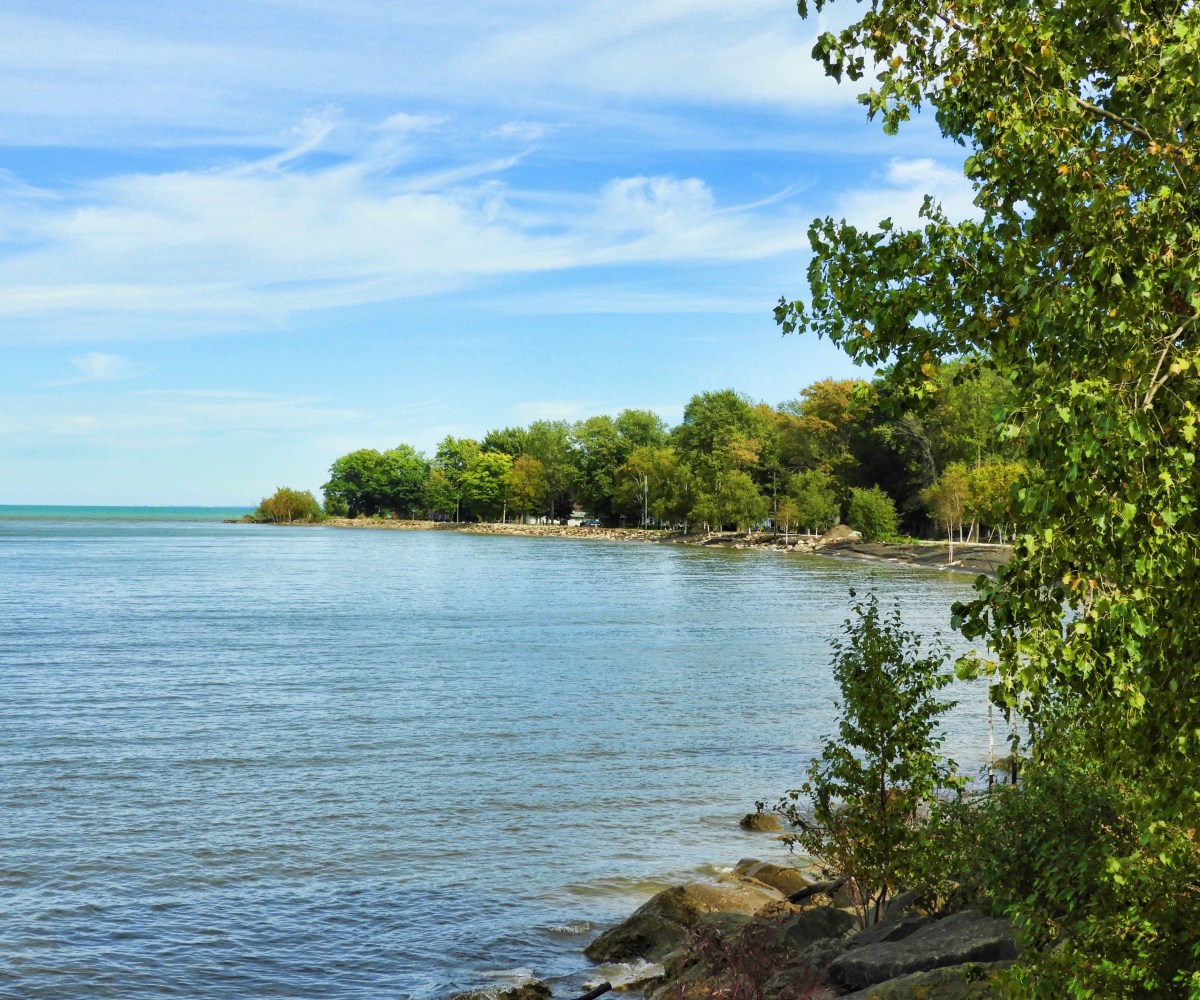 Savouring the Season – One Woman's Quest II