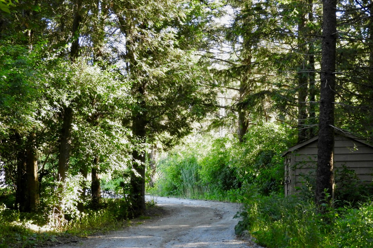 Narrow Passages – One Woman's Quest II