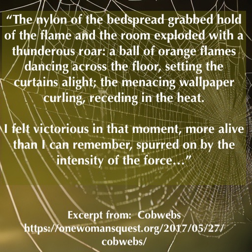 Excerpt from Cobwebs: A Short Story – One Woman's Quest II