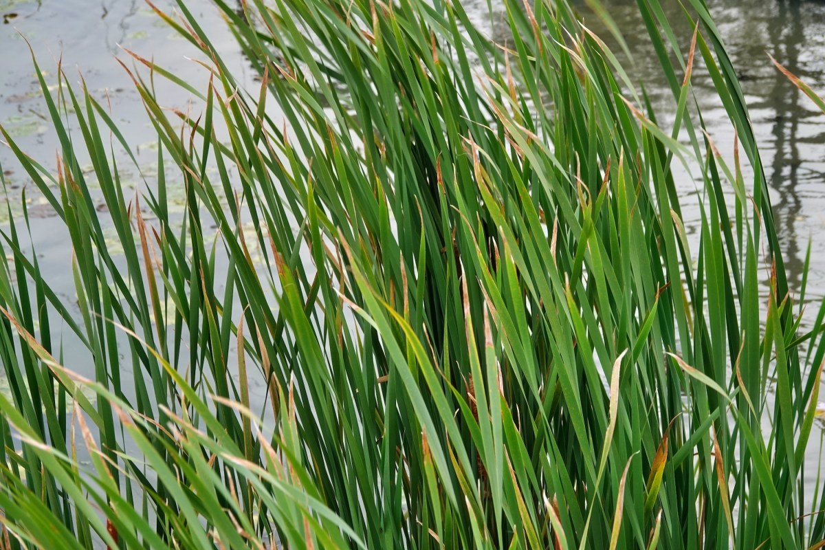 Filling the Frame: Seasons – One Woman's Quest II