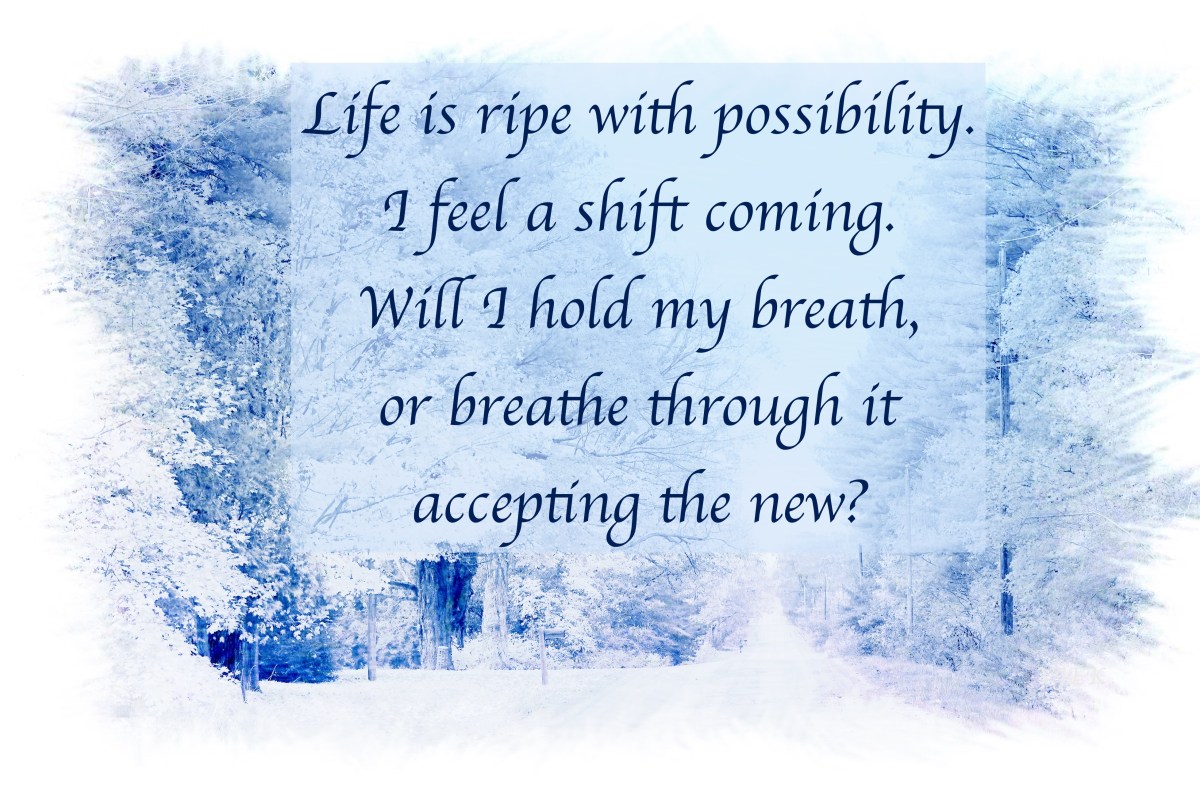 To Shift or Not to Shift – One Woman's Quest II